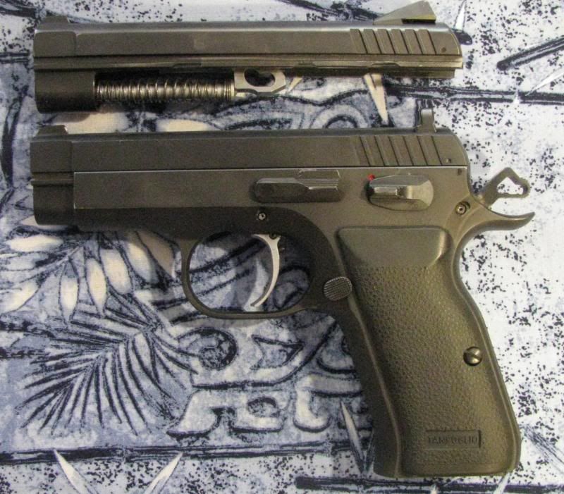 EAA Witness elite match | Marlin Firearms Forum